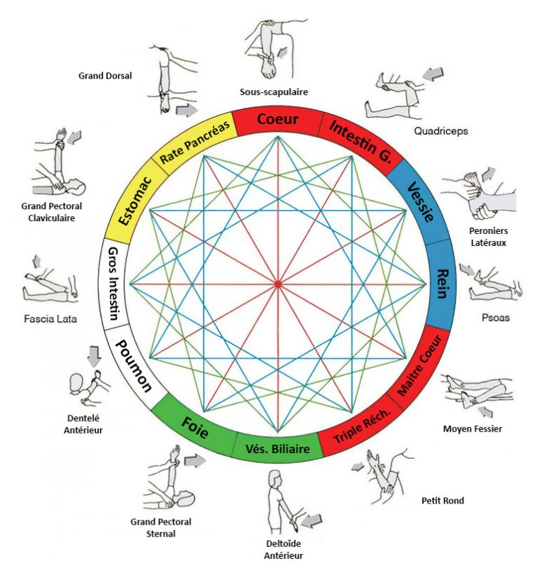 Kinésiologue Annecy - Cabinet Wakanda Meythet